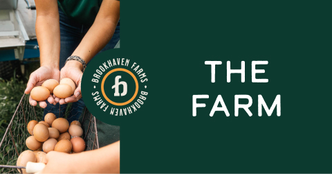 Brookhaven Farms | Focused on Sustainable Agriculture